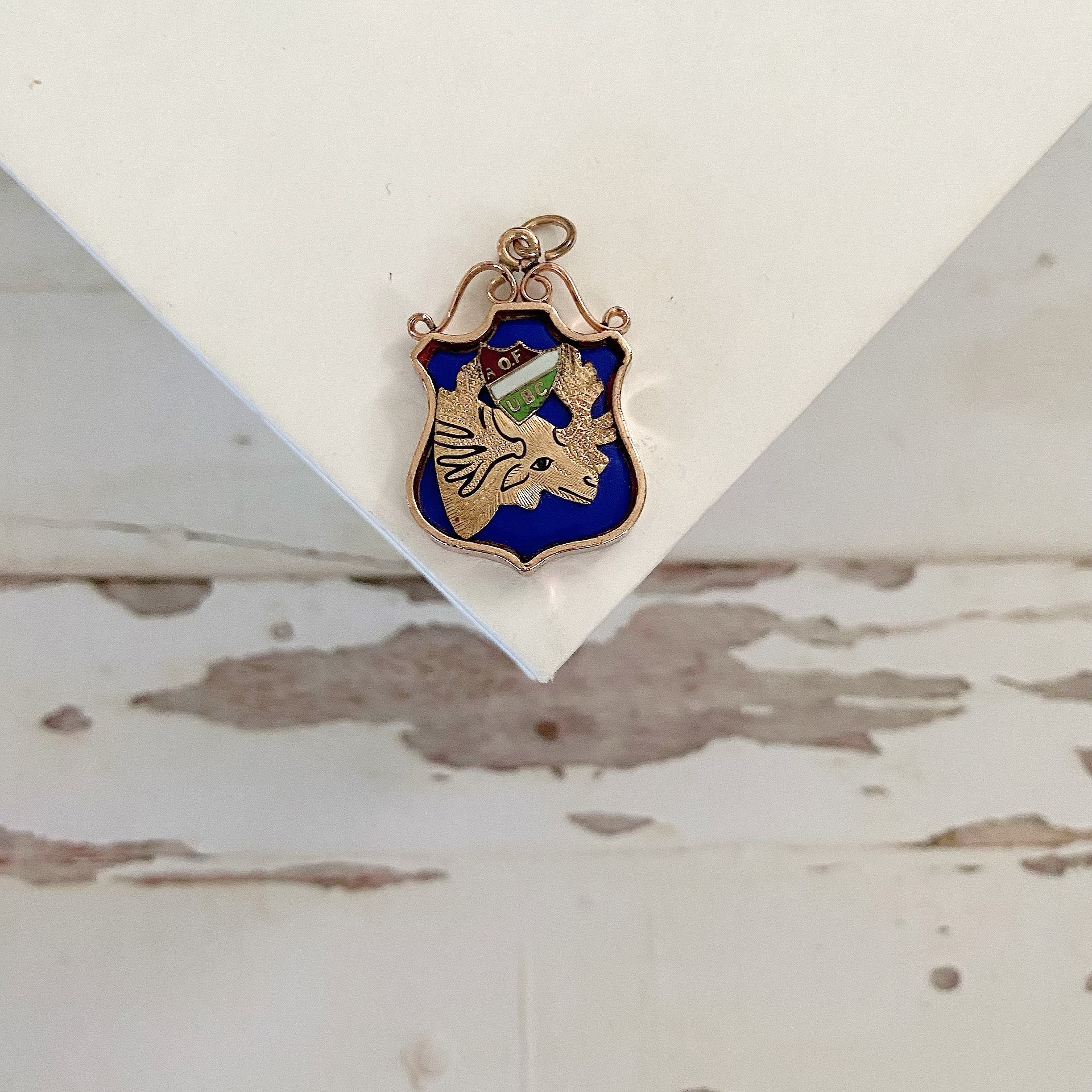 Antique Shield Shape A. O. F. Watch Fob – WinterLemon